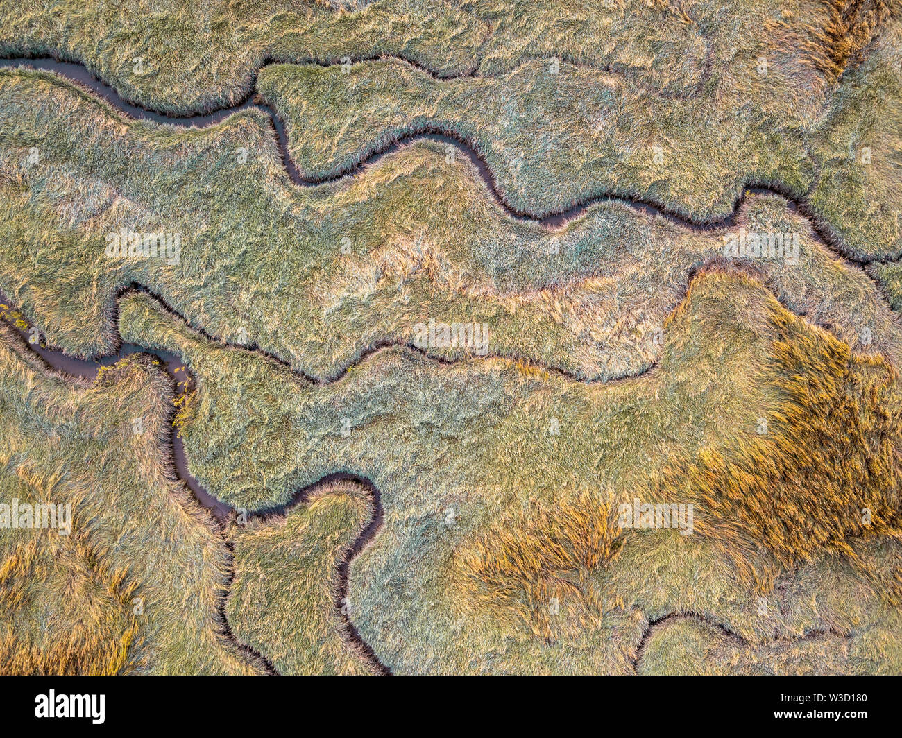 Aerial top down view of tidal marshland with natural meandering ...