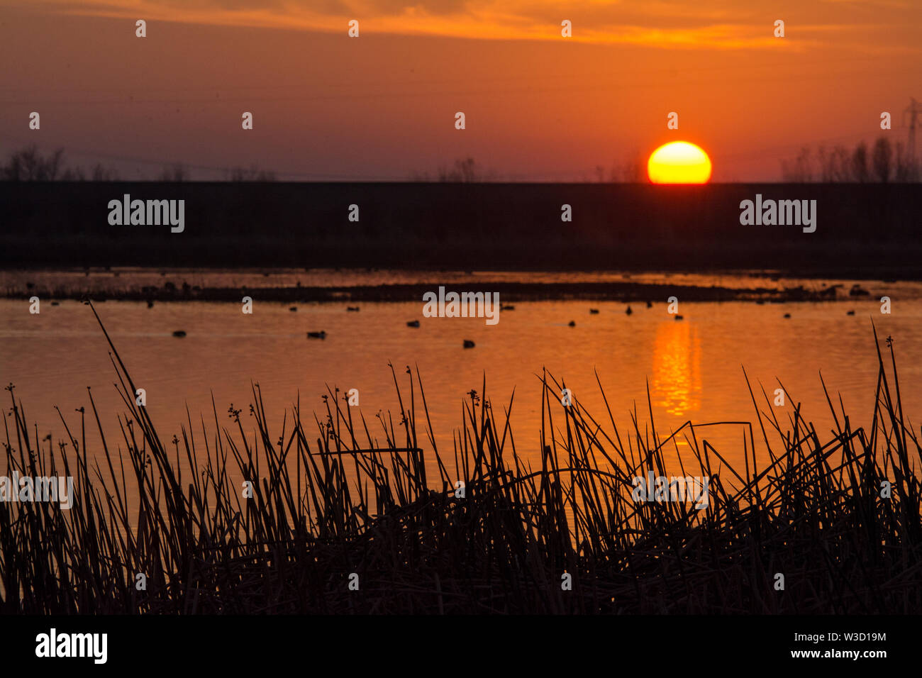 Sun setting over wetlands hi-res stock photography and images - Alamy
