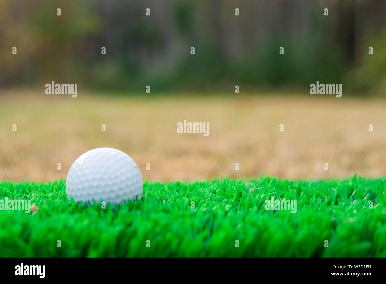 low angle of Golf ball on turf Stock Photo - Alamy
