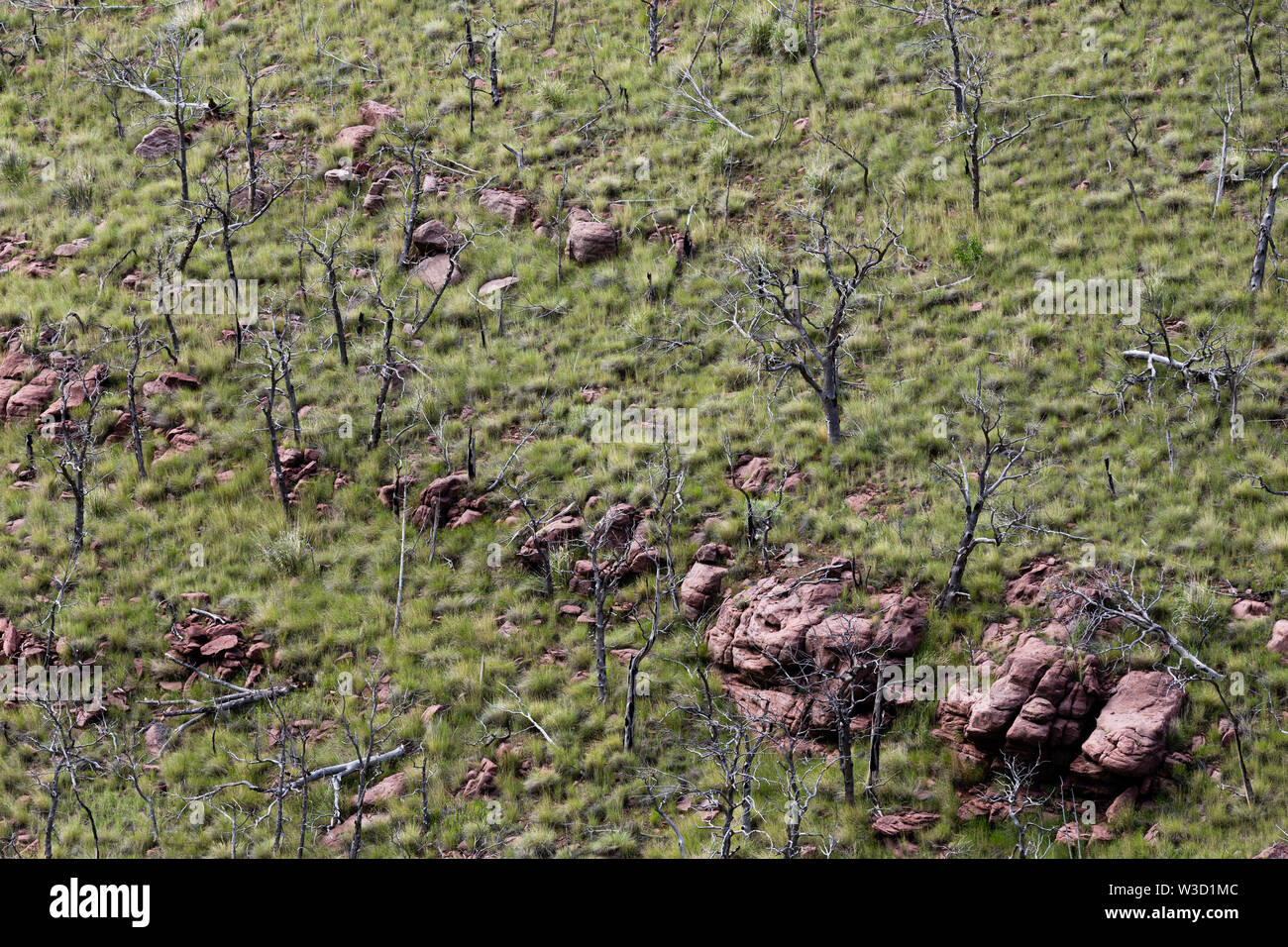 Mustang ridge fire hi-res stock photography and images - Alamy