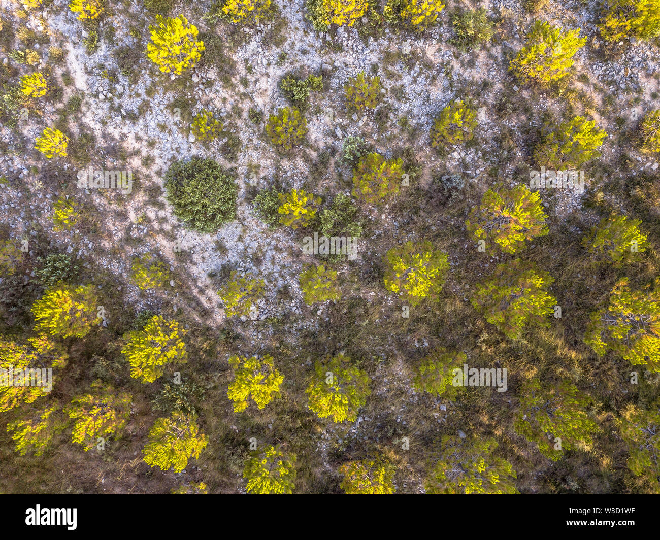 Sparsely vegetated barren landscape in Cevennes near Ganges, Occitania ...