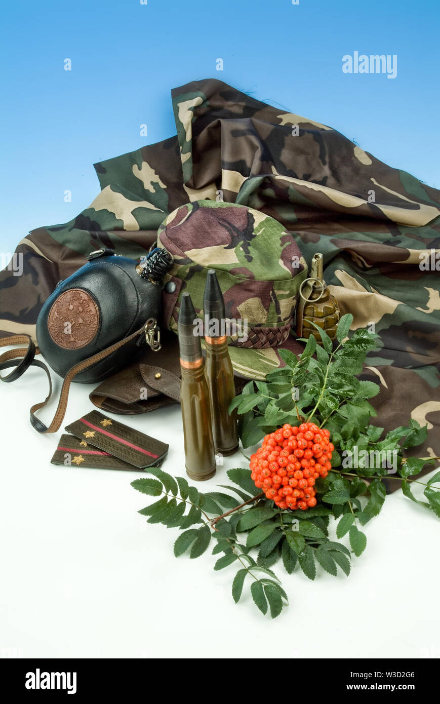 Flowers and army equipment on a studio background Stock Photo - Alamy