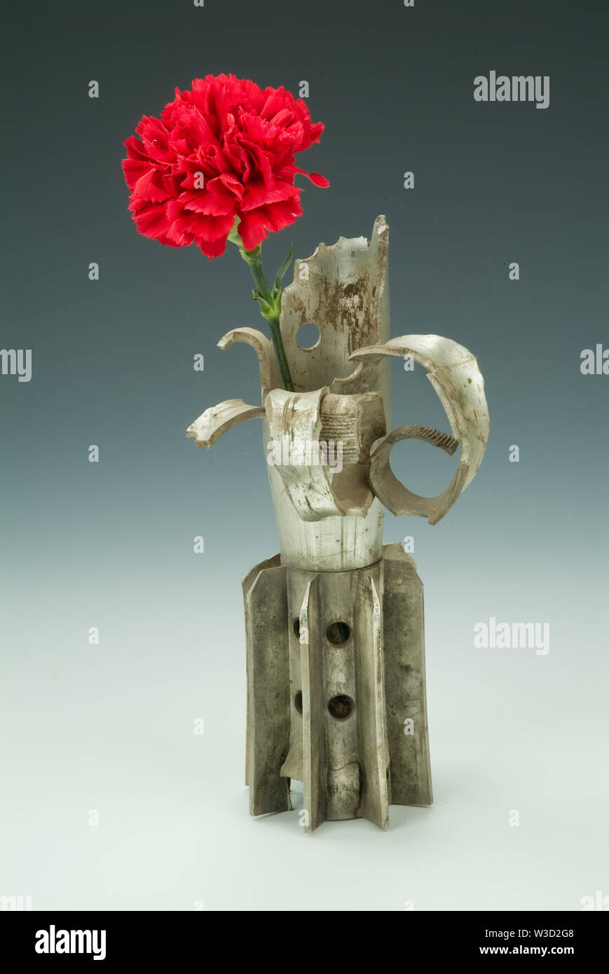 Detonated mine and carnation on a studio background Stock Photo - Alamy