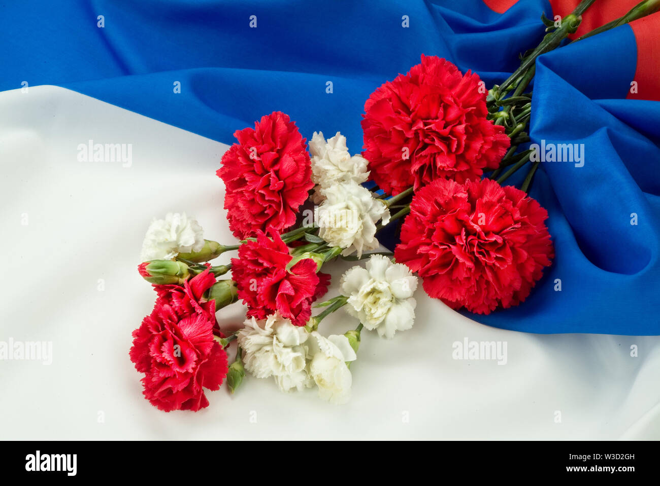 Bouquet of red and white carnations on a red , blue and white ...