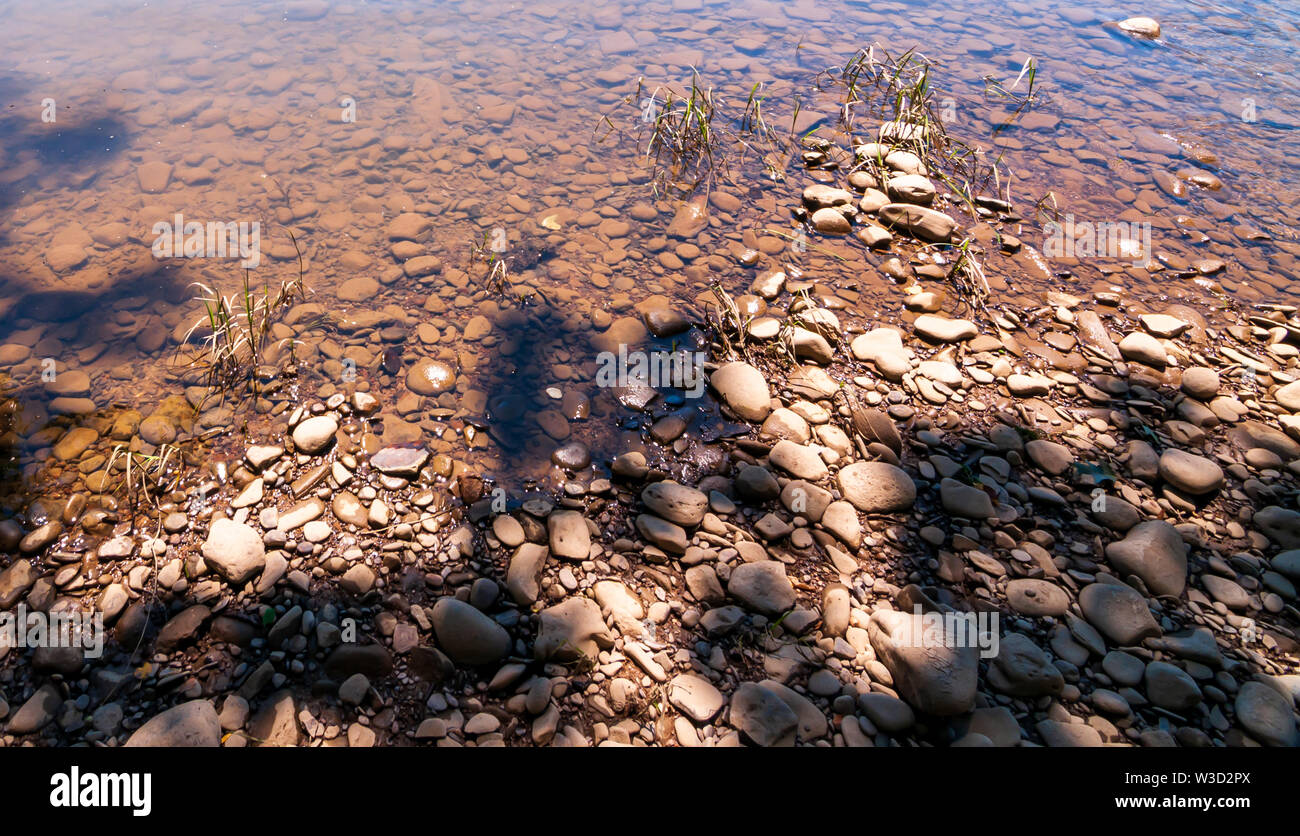 A rocky bottom in a shallow part of a river with shadows from leaves ...