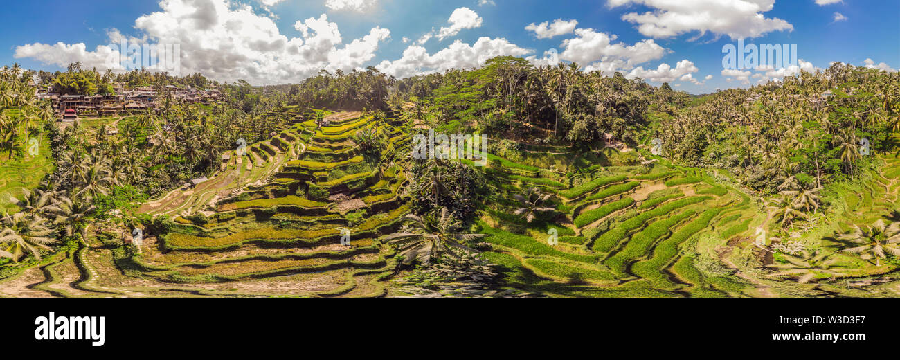 Rice Terrace Aerial Shot. Image of beautiful terrace rice field Stock ...