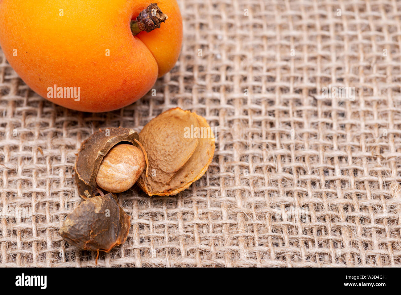 Fresh Organic Apricots and Apricot Kernels (the seed of an apricot ...