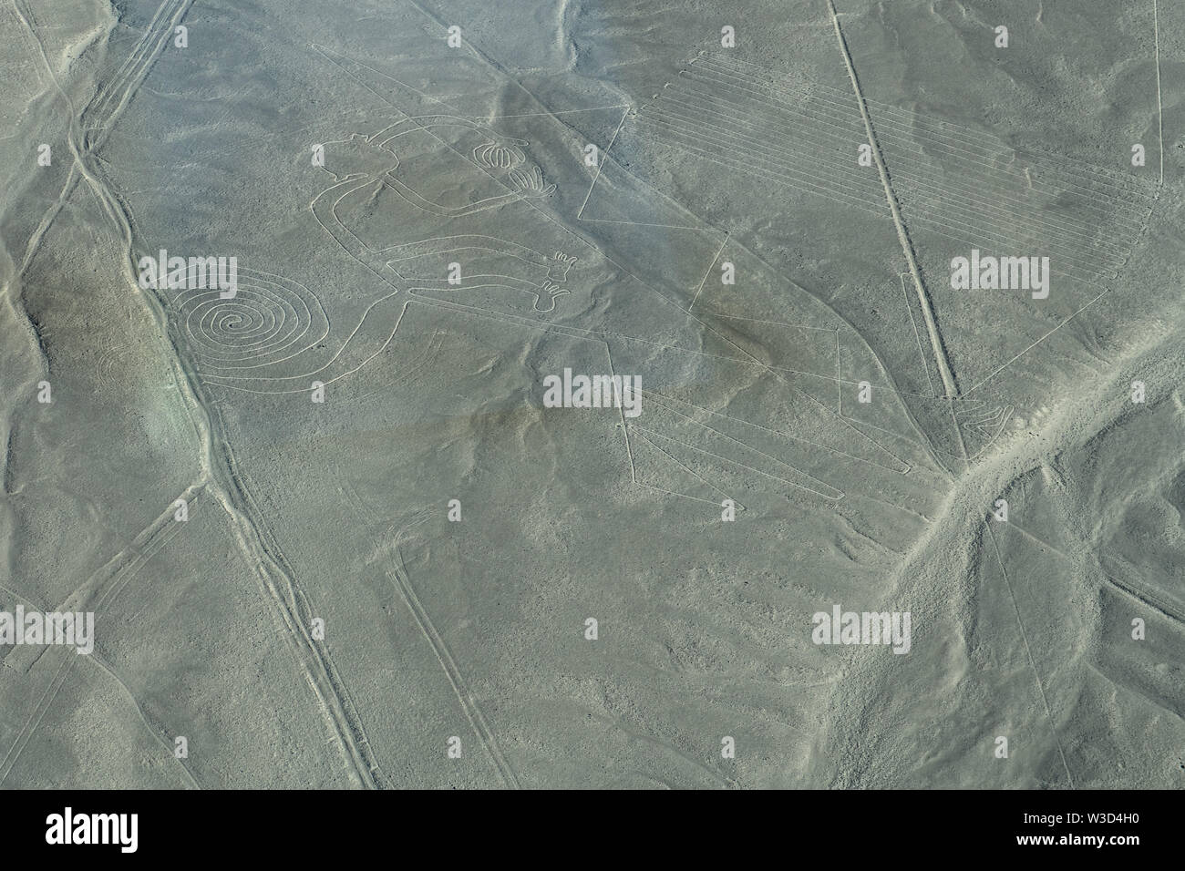 The monkey nazca lines hi-res stock photography and images - Alamy