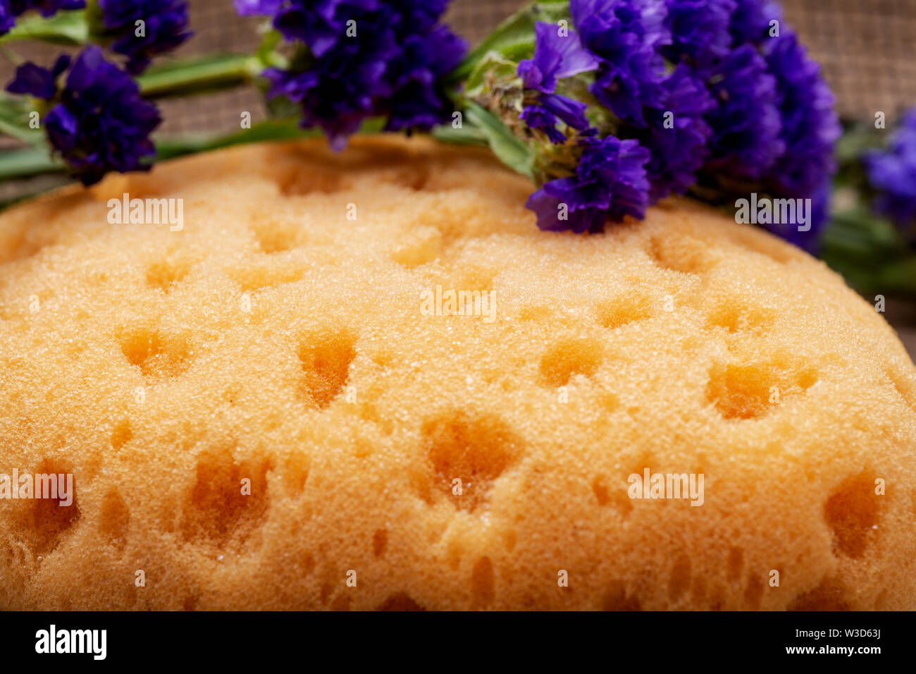 Spa Wellness Concept. Natural Foam Bath & Shower Sea Sponge and Dark ...