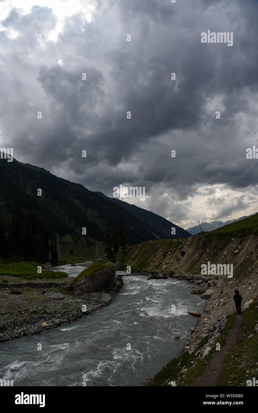 Ganderbal, India. 13th July, 2019. River Sindh flowers under the ...