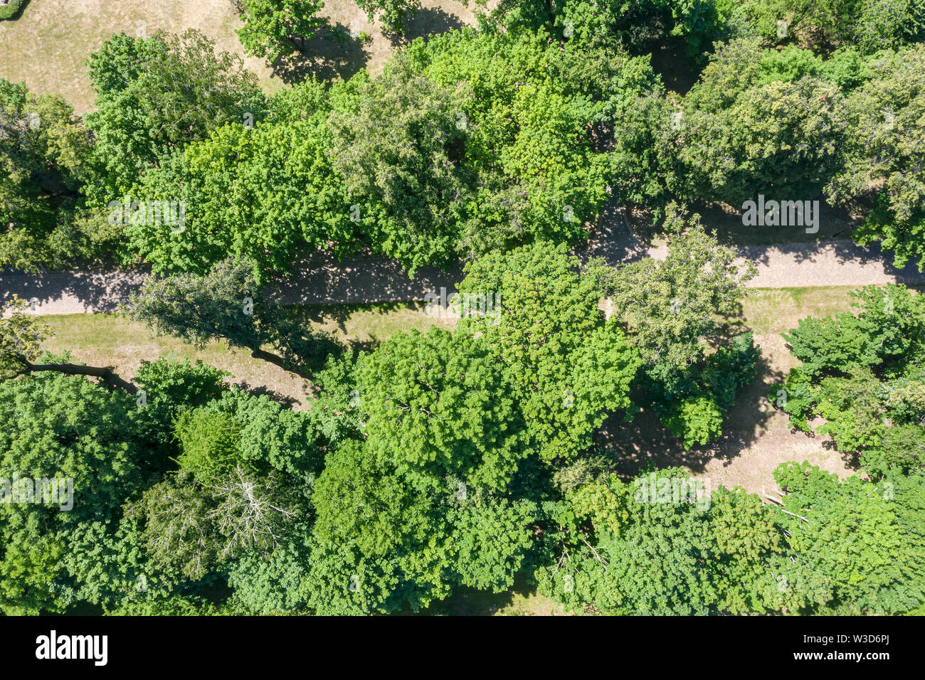 summer park landscape with footpath among green trees. aerial top view ...