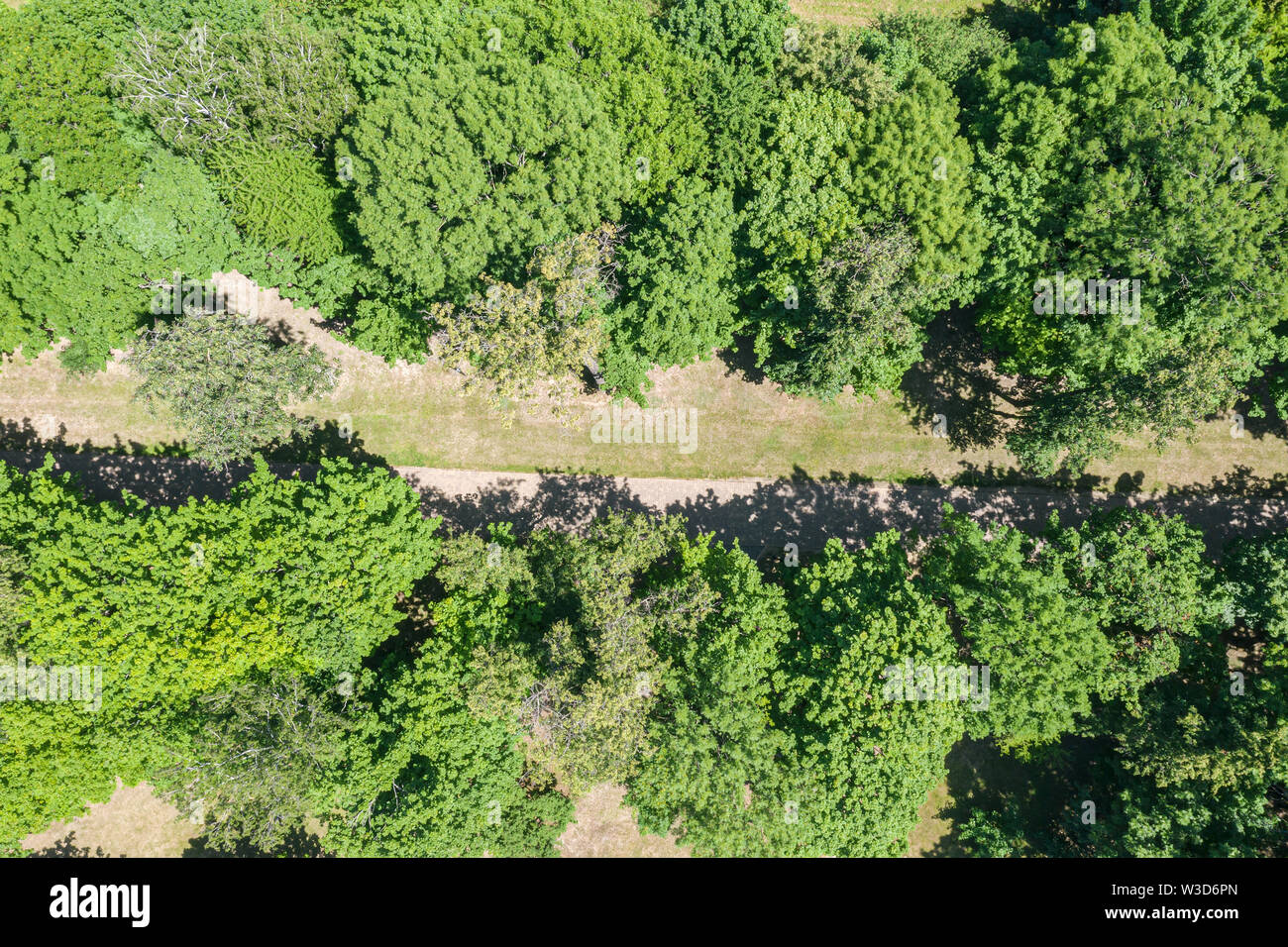 park landscape aerial top view with bushy fresh trees and park road ...