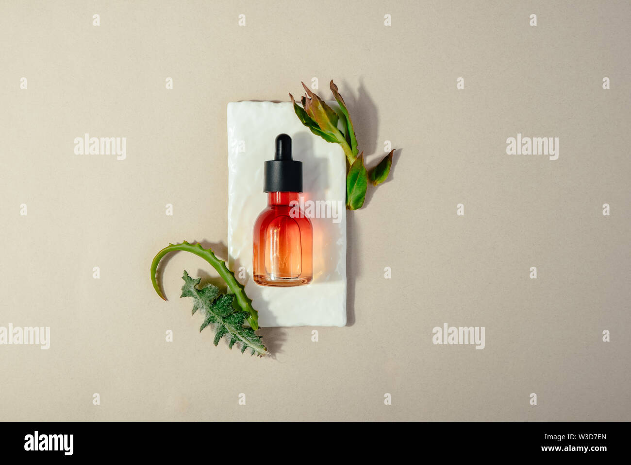 Natural cosmetic concept. Skin beauty health care concept. Bio organic ...