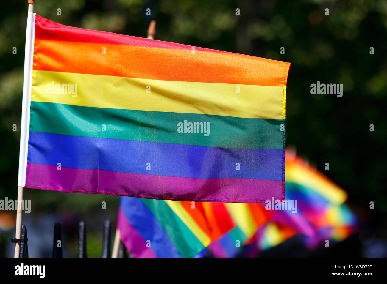 A six-color Rainbow Flag against a backdrop of other rainbow flags ...