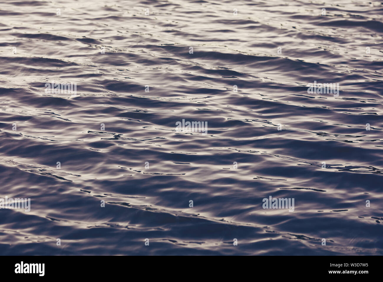 Dark purple wavy water surface ripple background, backdrop Stock Photo ...