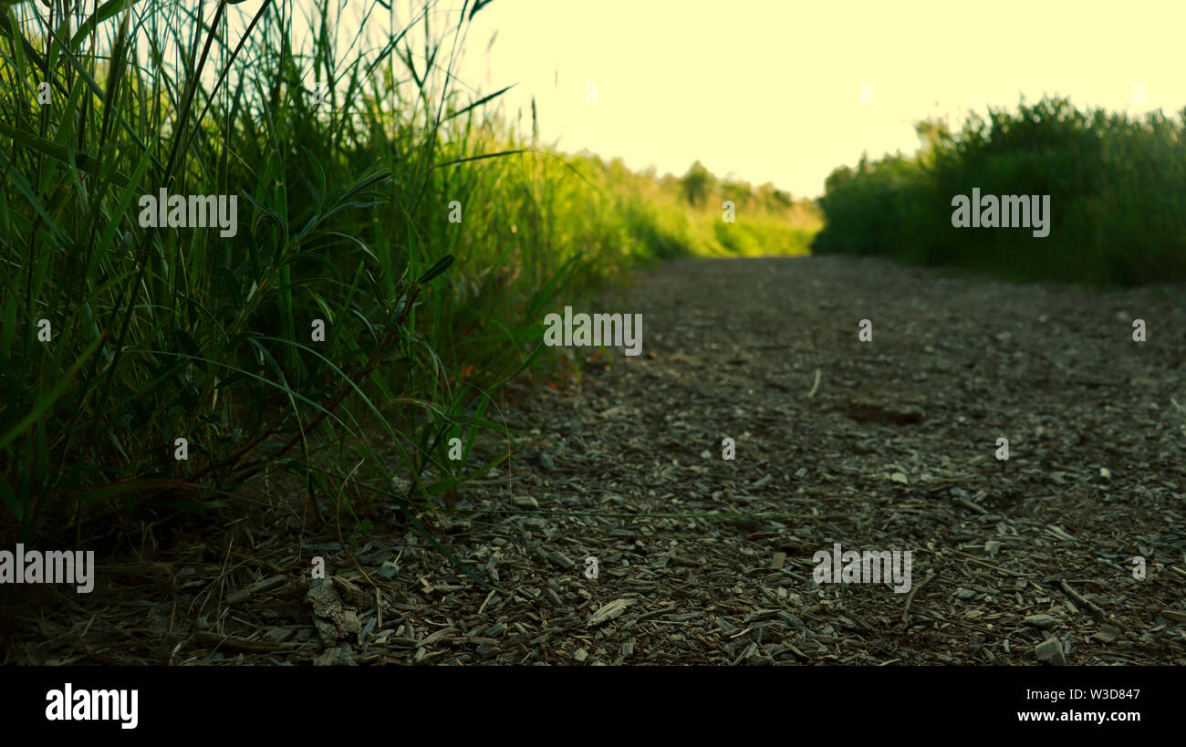 Field trail hi-res stock photography and images - Alamy