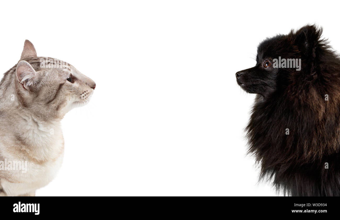 Opposite copy hi-res stock photography and images - Alamy