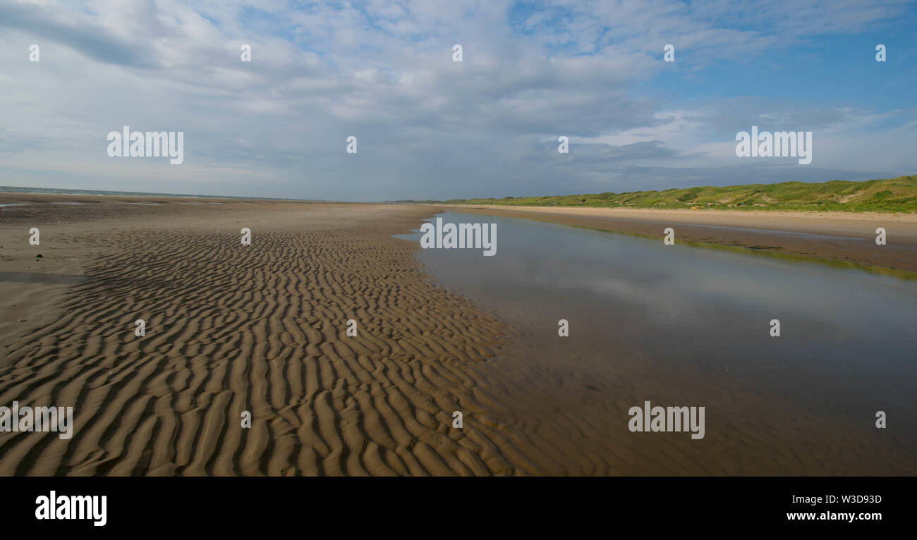Beach at Hargen aan Zee in the north of netherland Stock Photo - Alamy