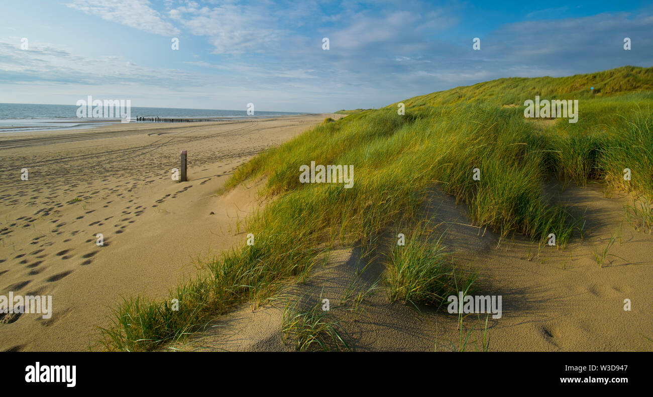 Beach at Hargen aan Zee in the north of netherland Stock Photo - Alamy