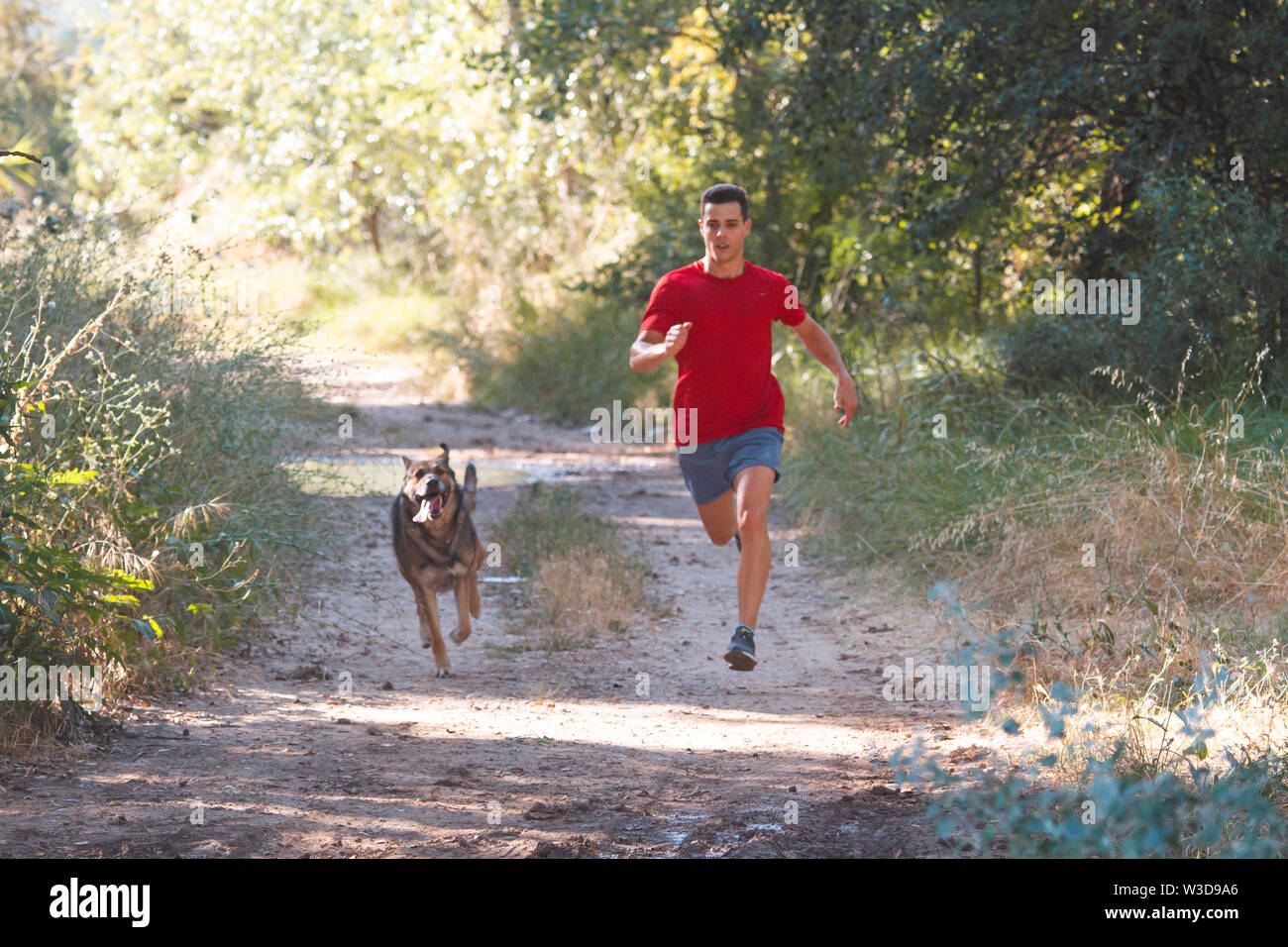 runner running across the field with his dog Stock Photo - Alamy