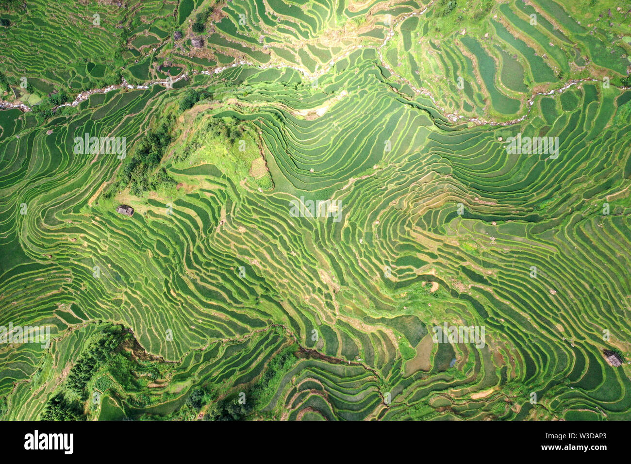 Guizhou, Guizhou, China. 14th July, 2019. Guizhou, China - July 14 2019 ...