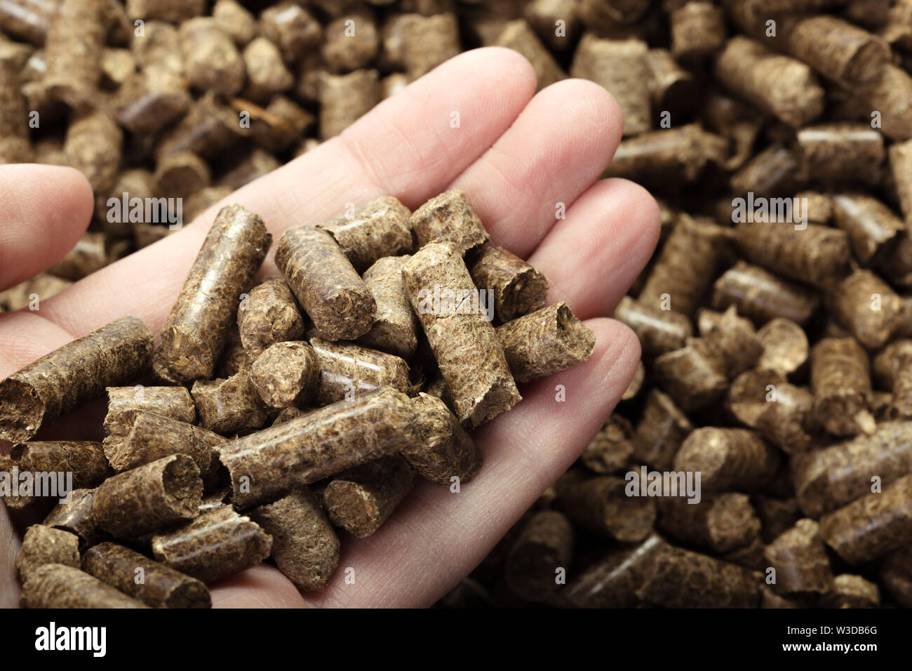 Human hand holding solid wooden pellets Stock Photo - Alamy