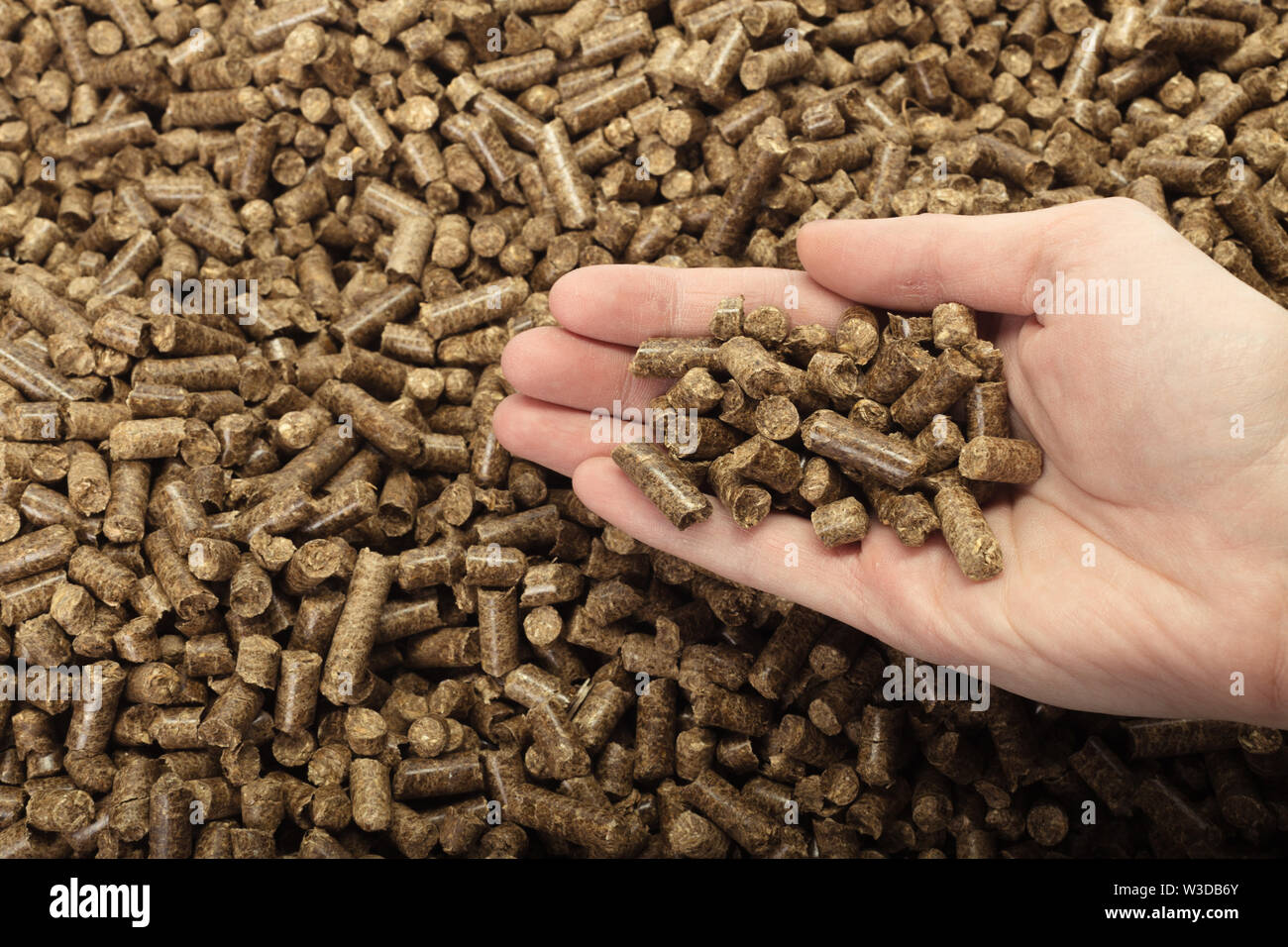 Human hand holding solid wooden pellets Stock Photo - Alamy
