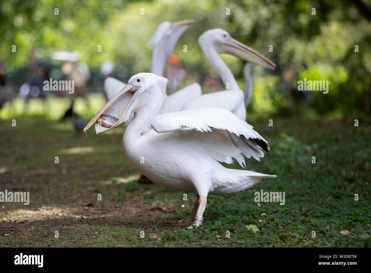 Named sun hi-res stock photography and images - Alamy