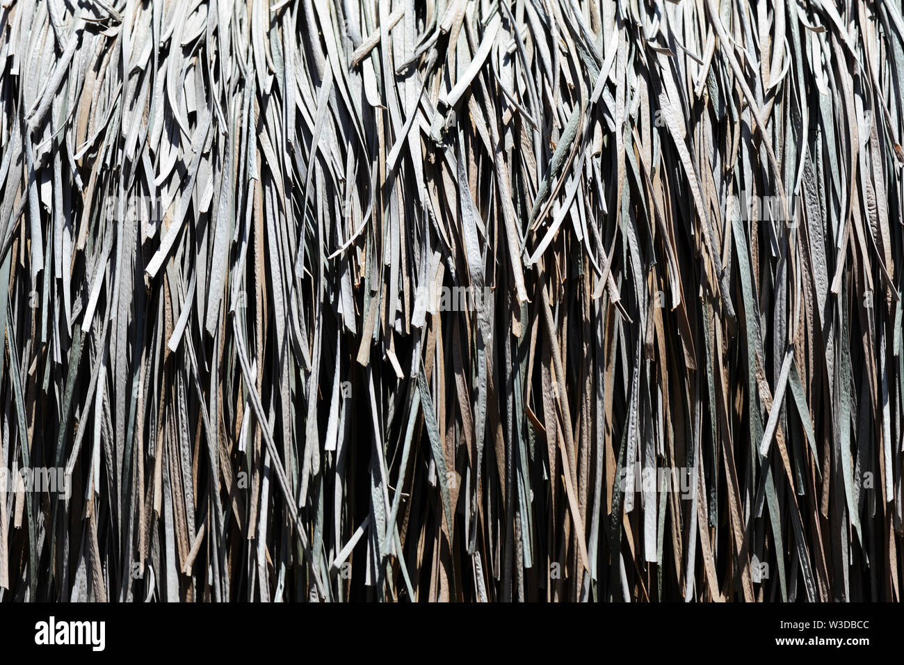 The texture of palm roof close up. Tropical background Stock Photo - Alamy