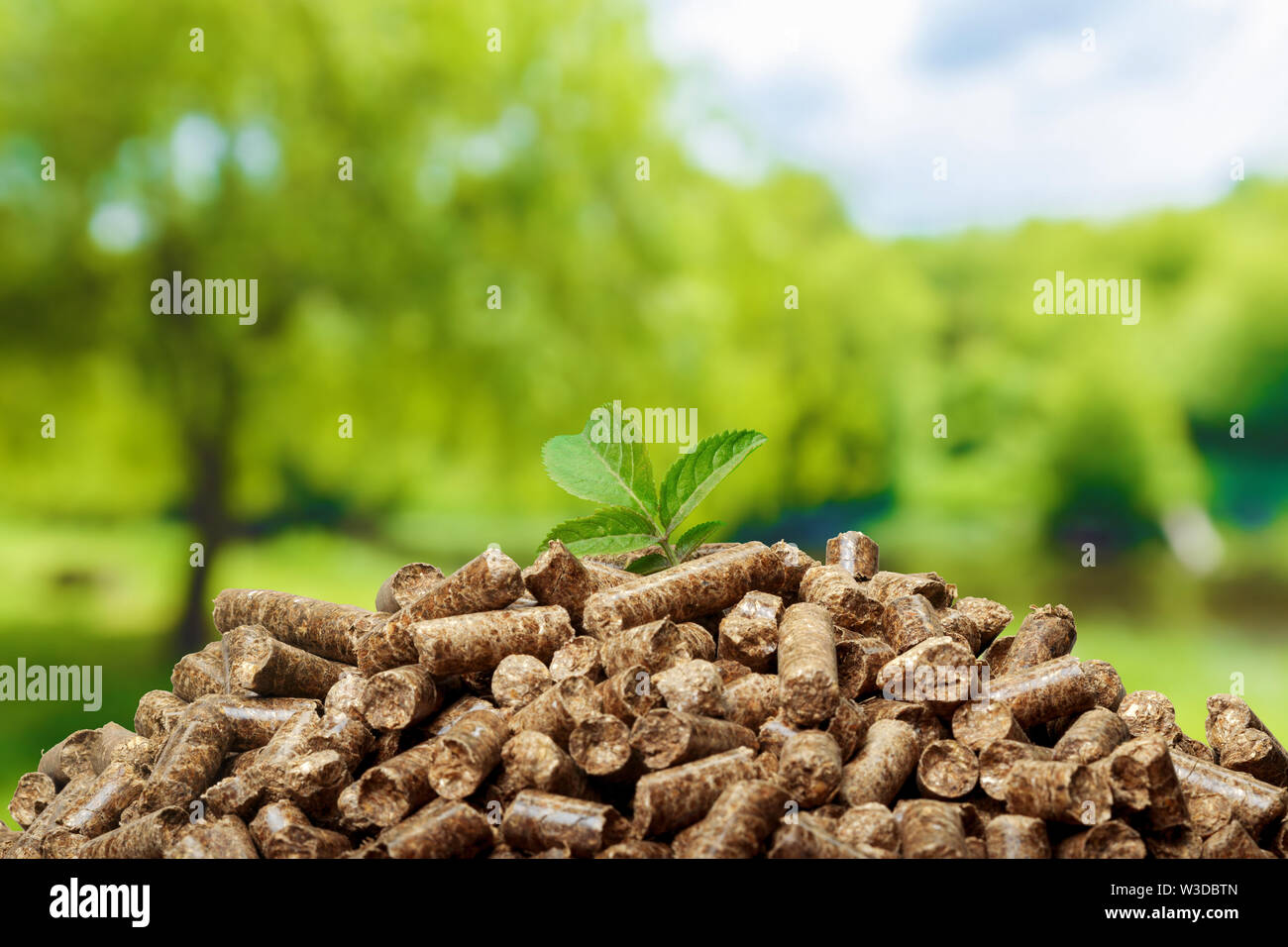 Wood pellets on a green background. Biofuels Stock Photo - Alamy