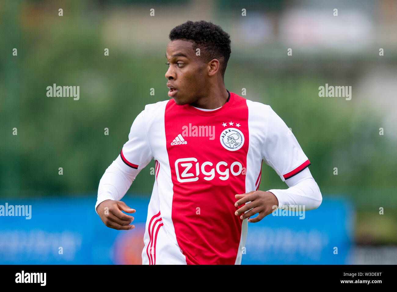 Jurrin timber hi-res stock photography and images - Alamy