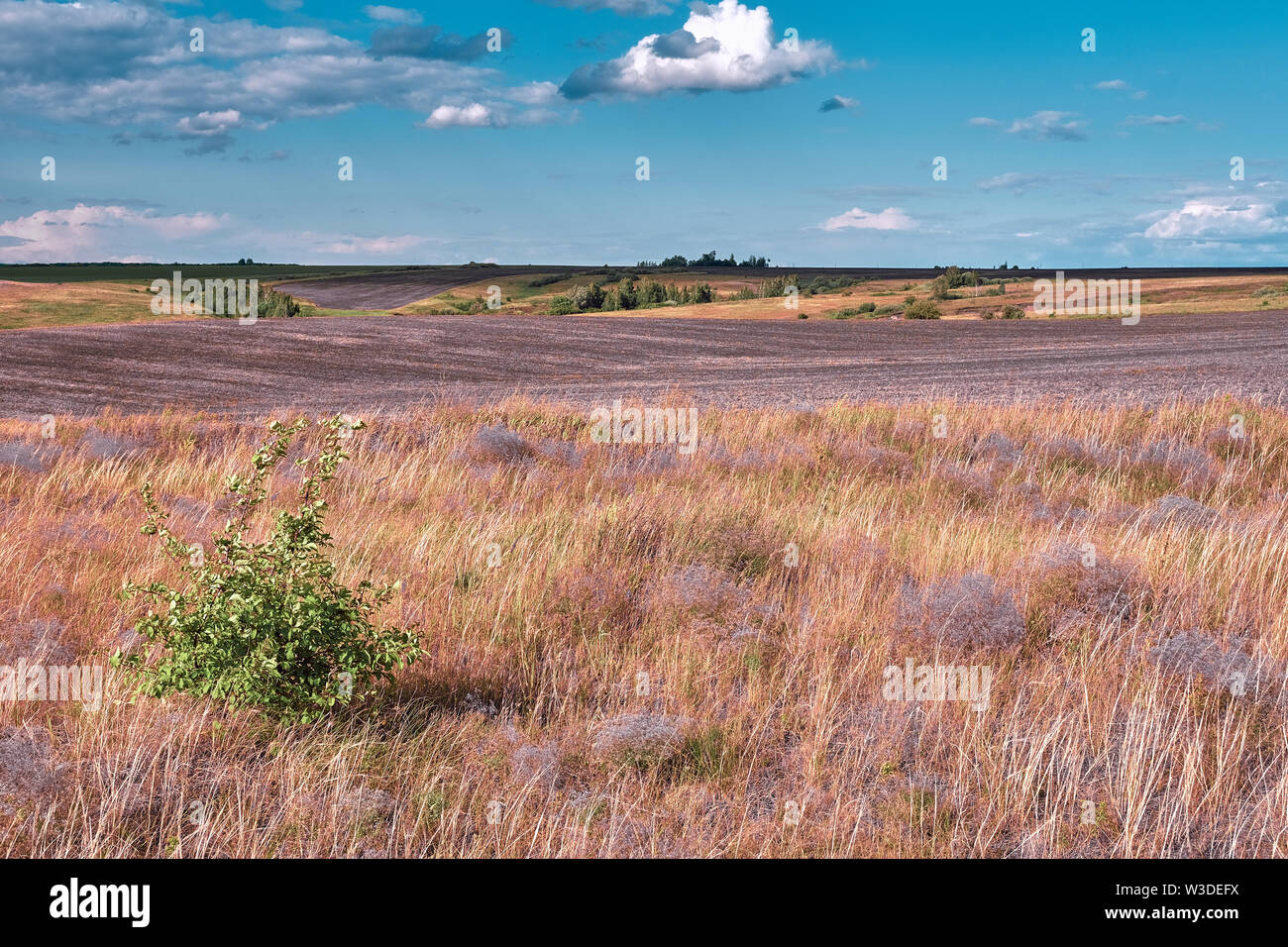 Central Russia agricultural countryside with hills. Summer landscape of ...