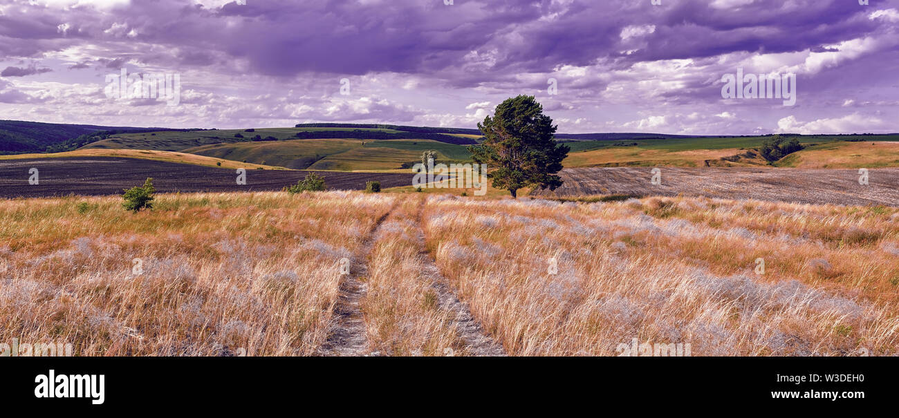Central Russia agricultural countryside with hills and country road ...