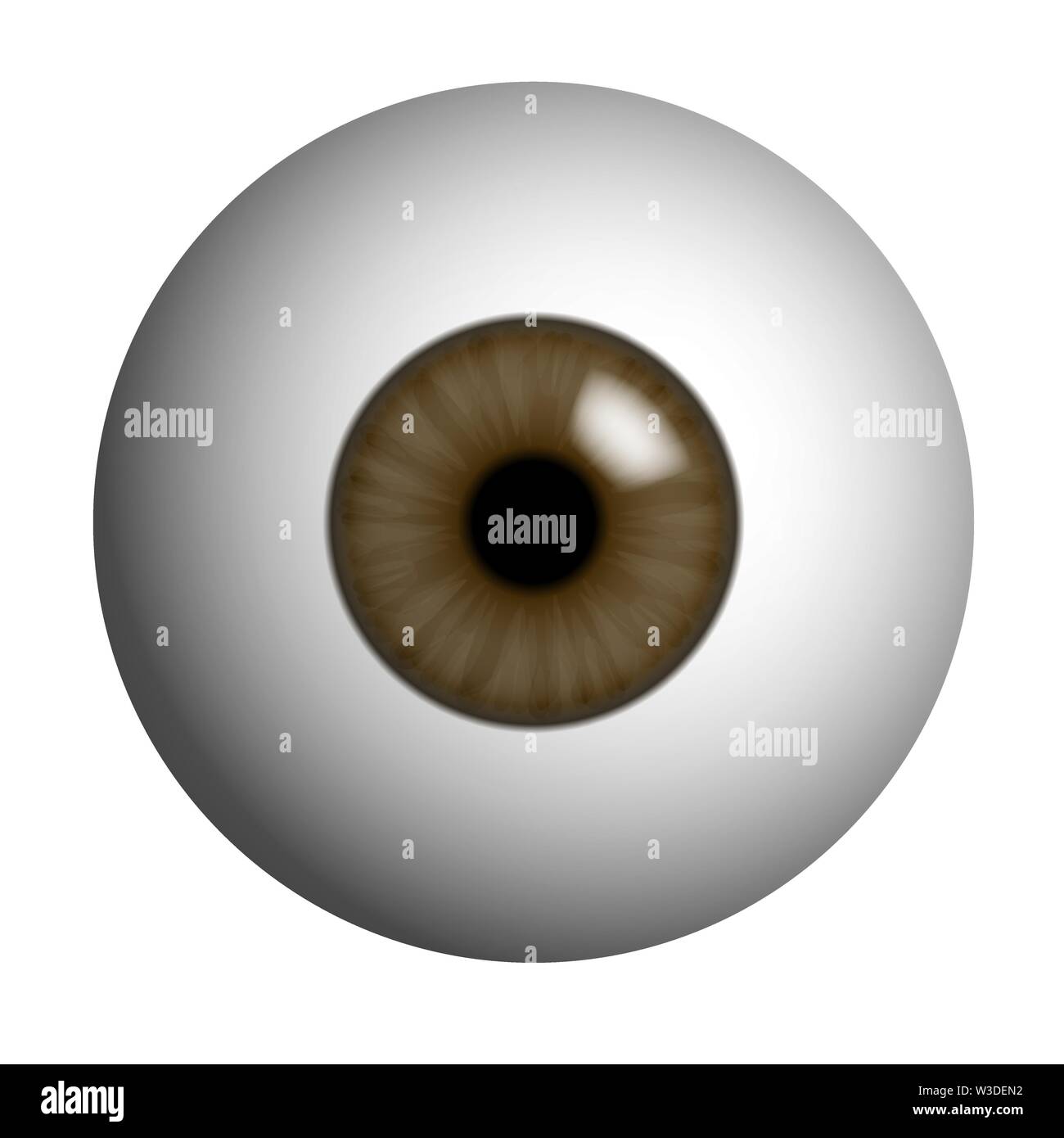 Realistic illustration of human eye with brown iris, pupil and ...