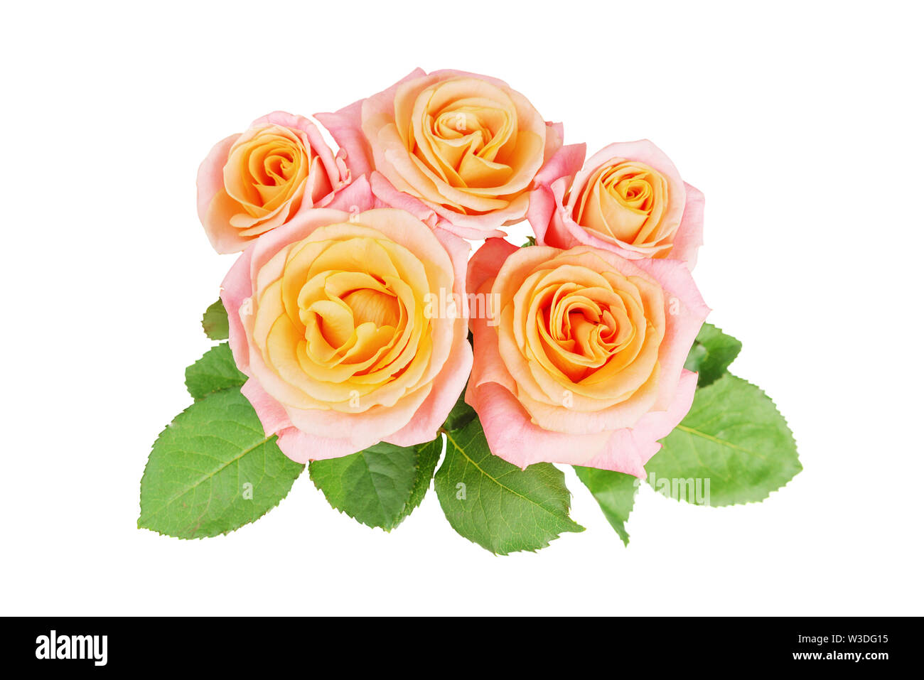 Beautiful bouquet of unique yellow-pink rose flowers, isolated on white ...
