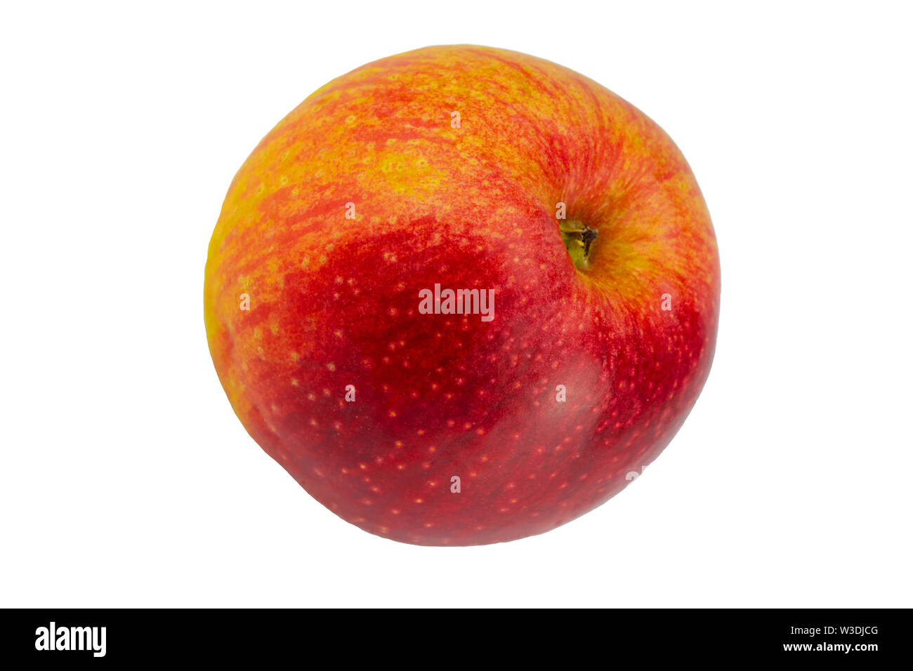 Closeup of a red fresh ripe apple fruit isolated on a white background ...