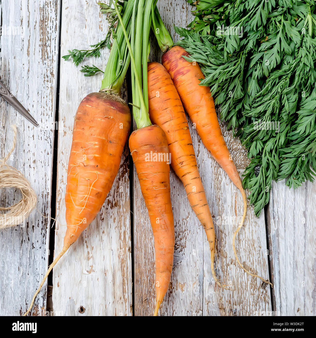 Bunch of fresh carrots with green leaves on rustic white wooden ...