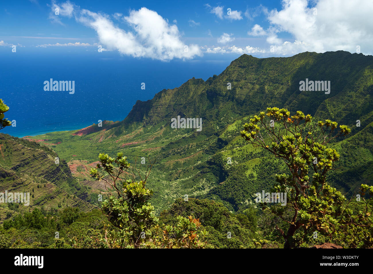 Spectacular vista of rugged mountains, lush rain forest valley, and ...