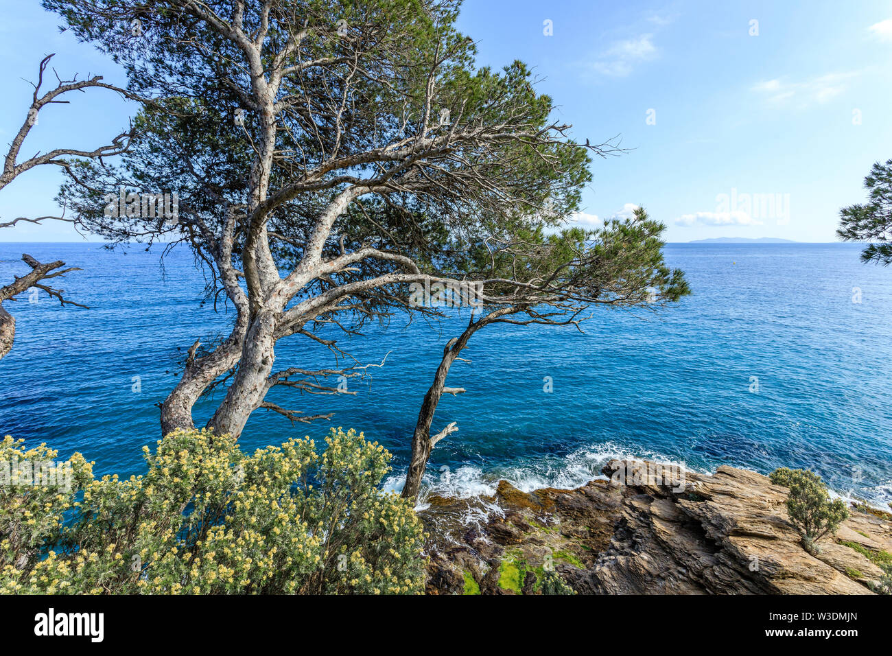 France, Var, Rayol Canadel sur Mer, the Domaine du Rayol, Mediterranean ...
