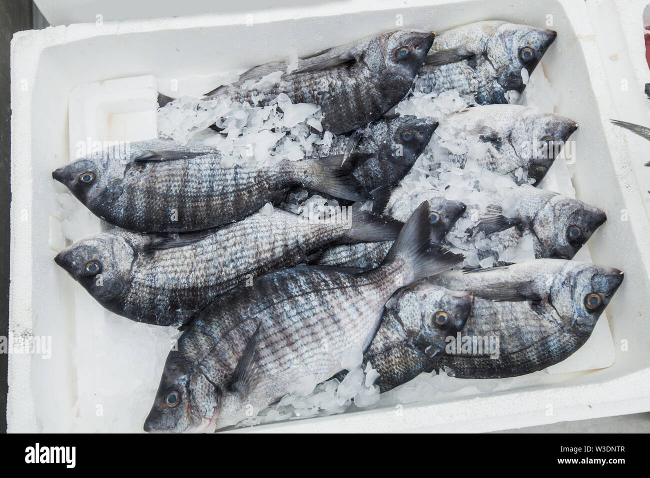 Raw fresh sea fish on fish market stall in the Greece Stock Photo - Alamy