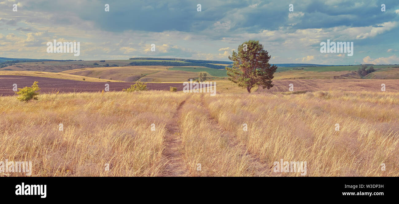Central Russia agricultural countryside with hills and country road ...