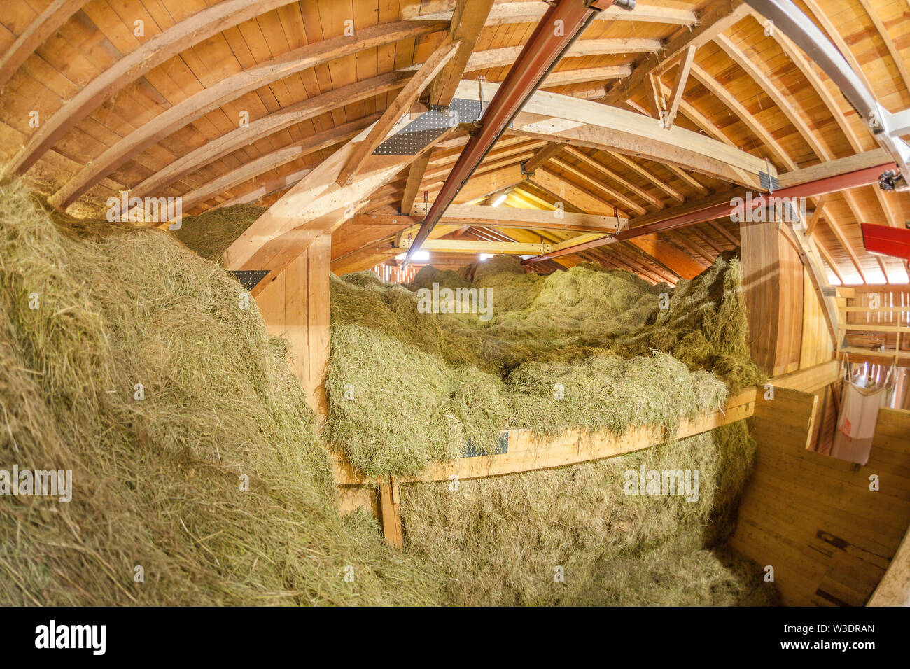 modern new hayloft during haymaking Stock Photo - Alamy