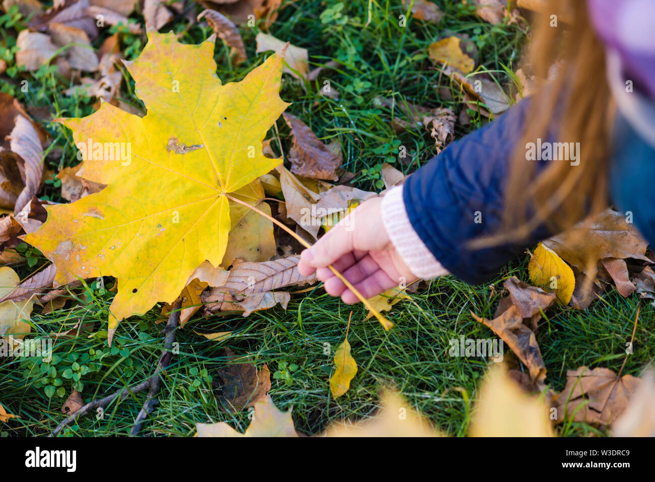 Delight preteen hi-res stock photography and images - Alamy