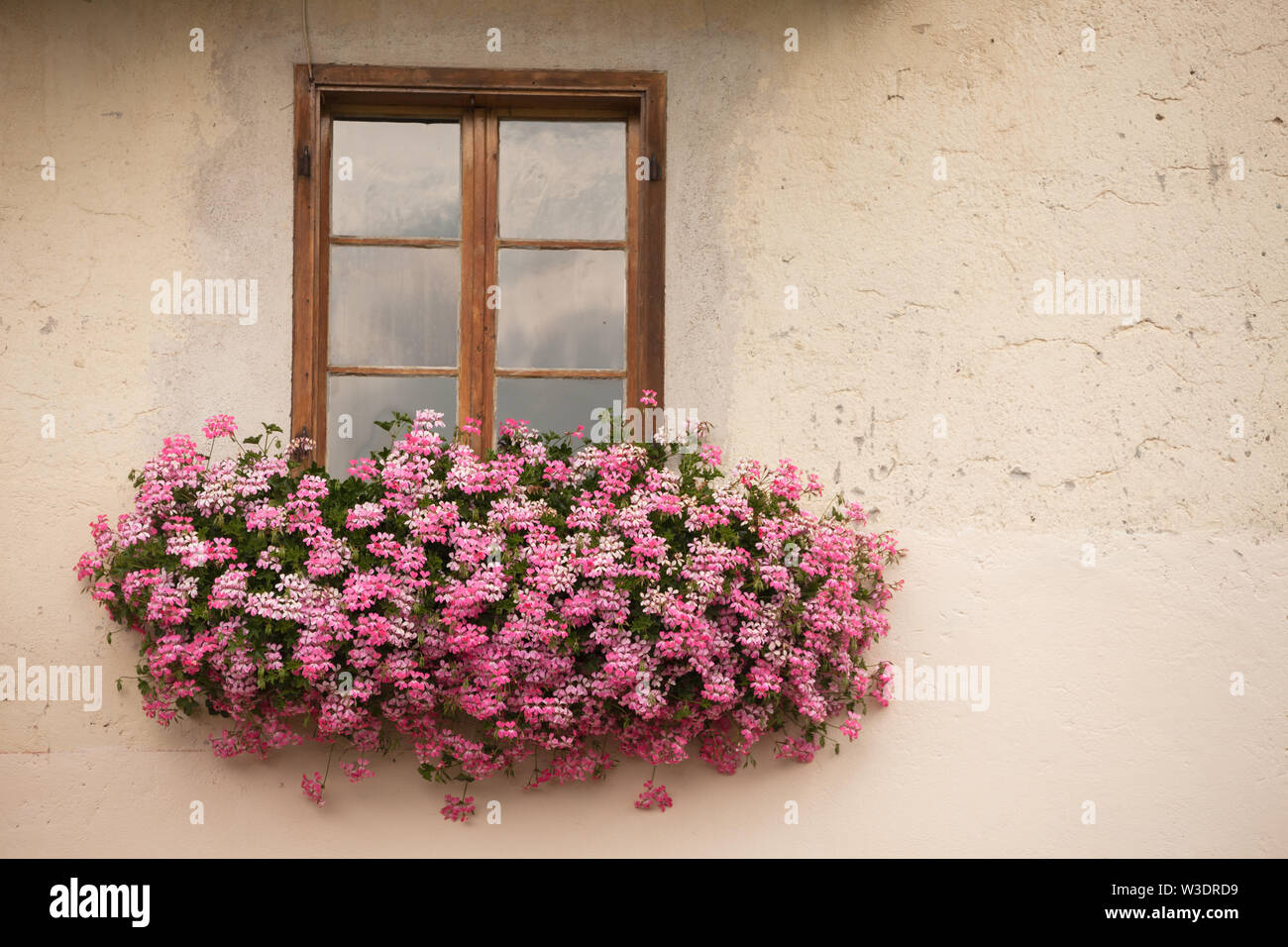 Detail of a traditional old balcony with red geraniums from an old ...