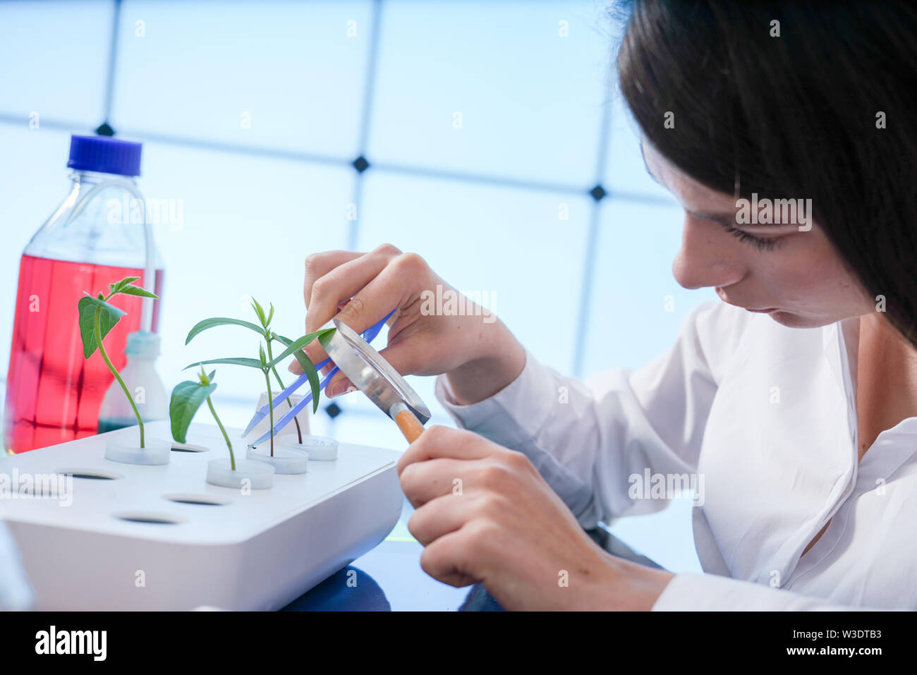 Hydroponics lab hi-res stock photography and images - Alamy