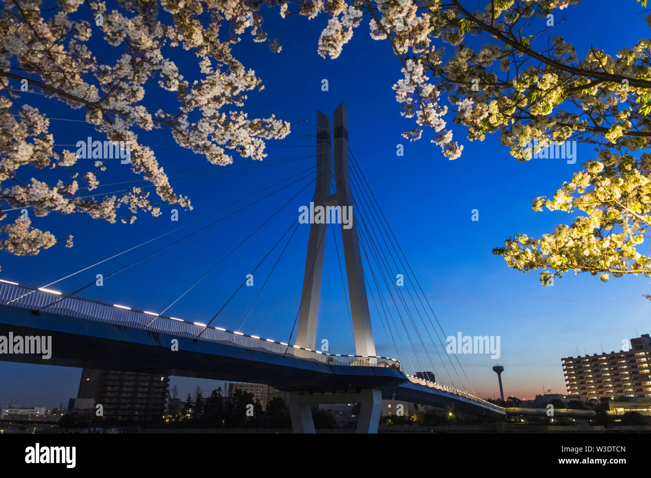Japan, Honshu, Tokyo, Toyosu, Shinonome, Sakurabashi Bridge Stock Photo ...