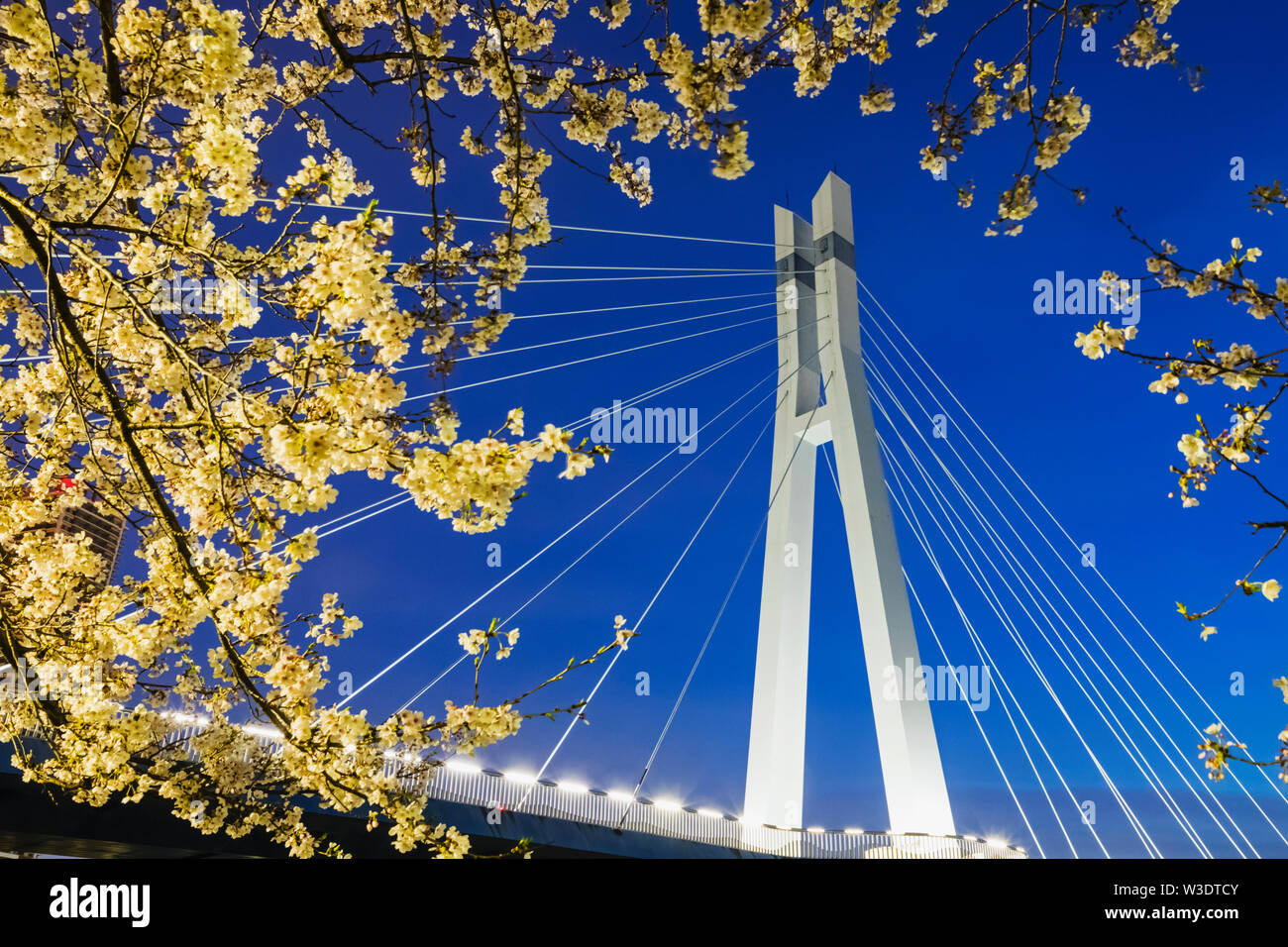 Japan, Honshu, Tokyo, Toyosu, Shinonome, Sakurabashi Bridge Stock Photo ...
