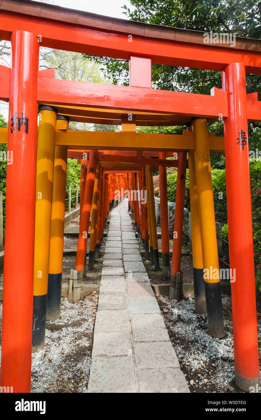 Japan, Honshu, Tokyo, Bunkyo-ku, Nezu Shrine, Torri (Gate) Tunnel Stock ...
