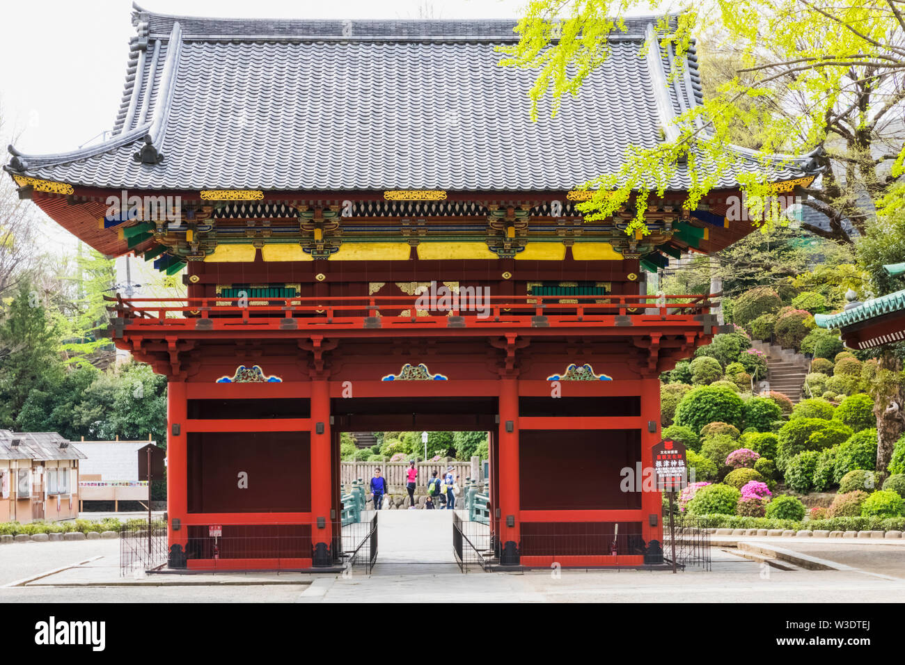 Japan, Honshu, Tokyo, Bunkyo-ku, Nezu Shrine Stock Photo - Alamy