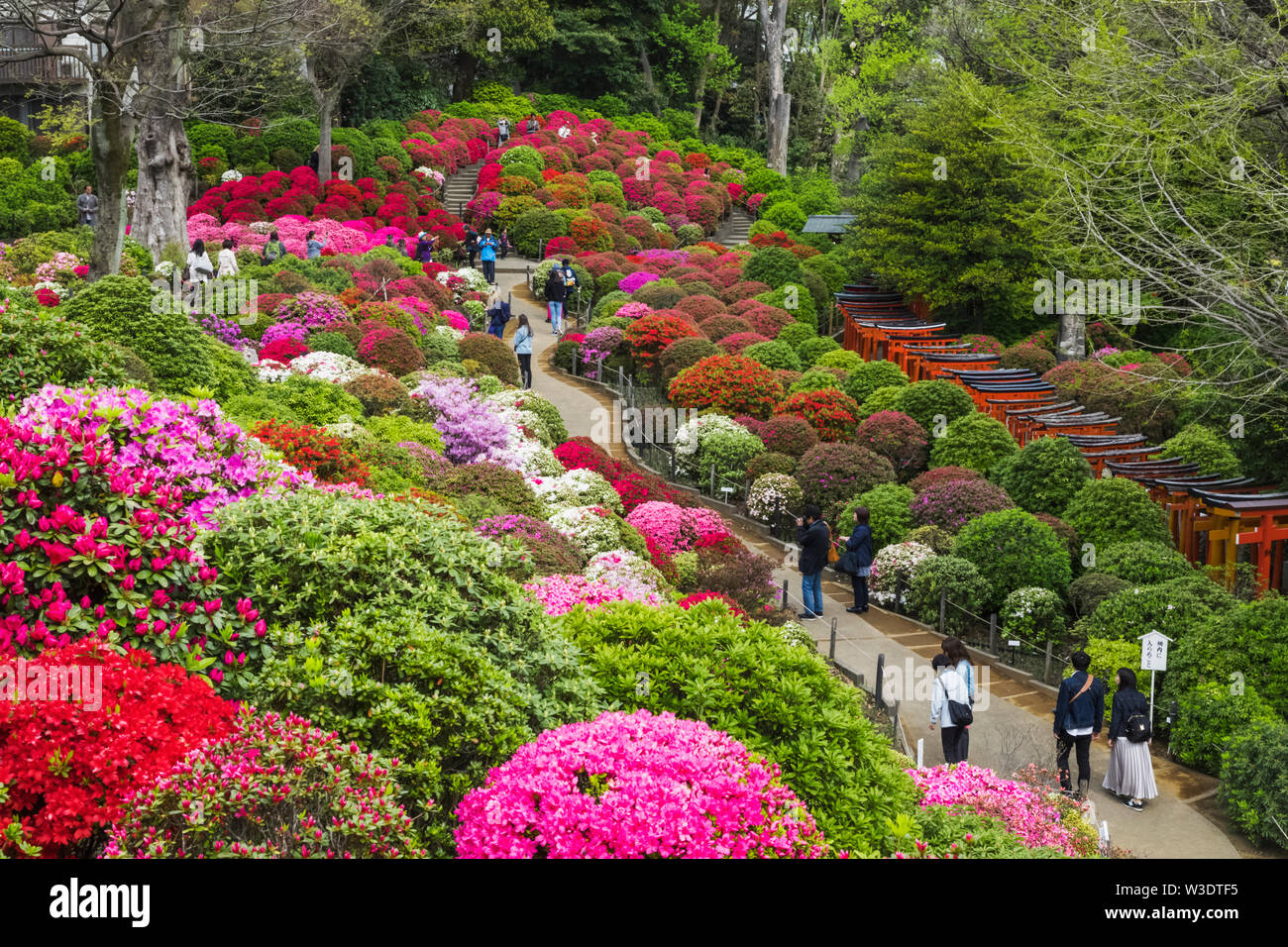 Japanese shrines in spring hi-res stock photography and images - Alamy
